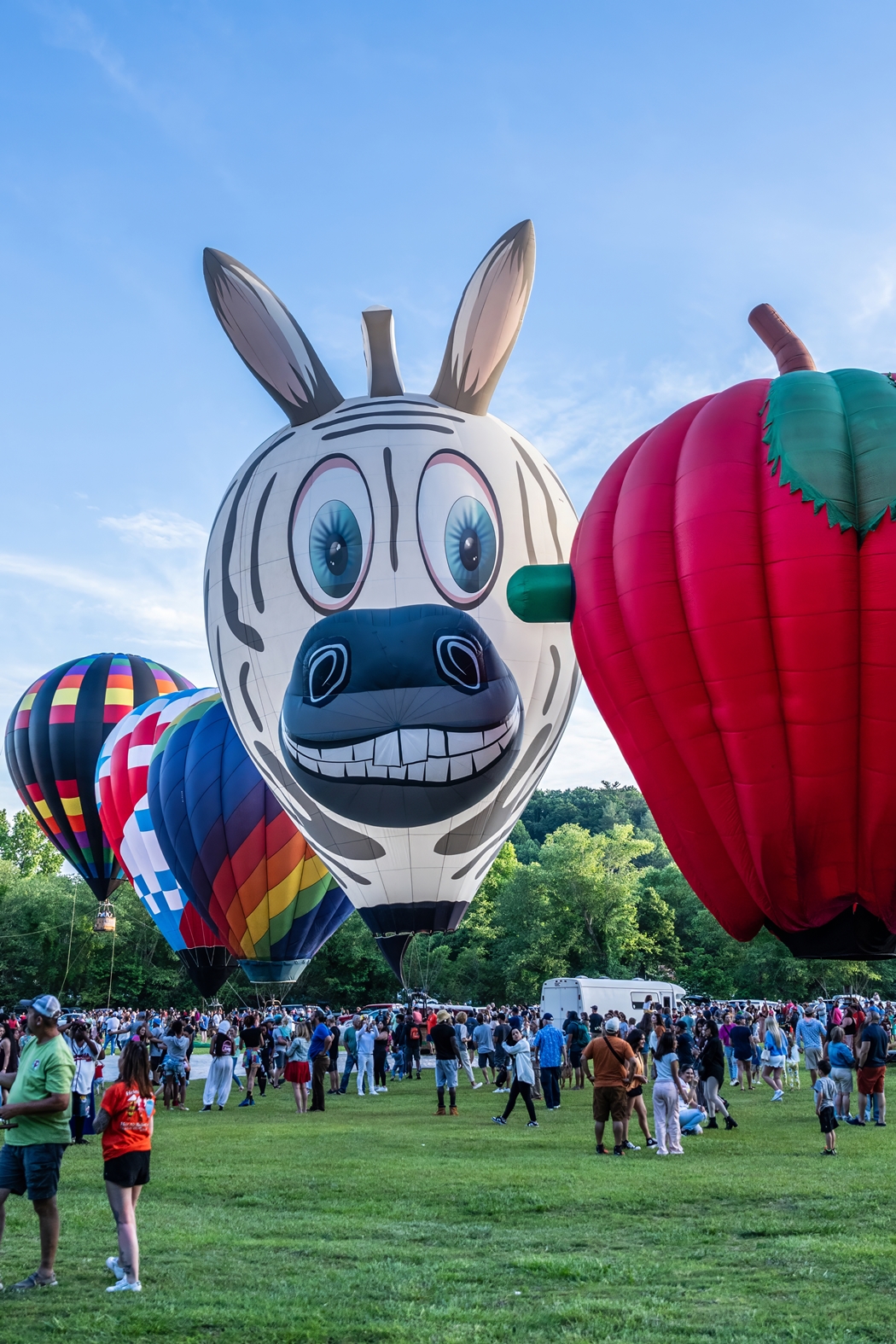 Atlanta Hot Air Balloon Rides with Balloons Over Georgia